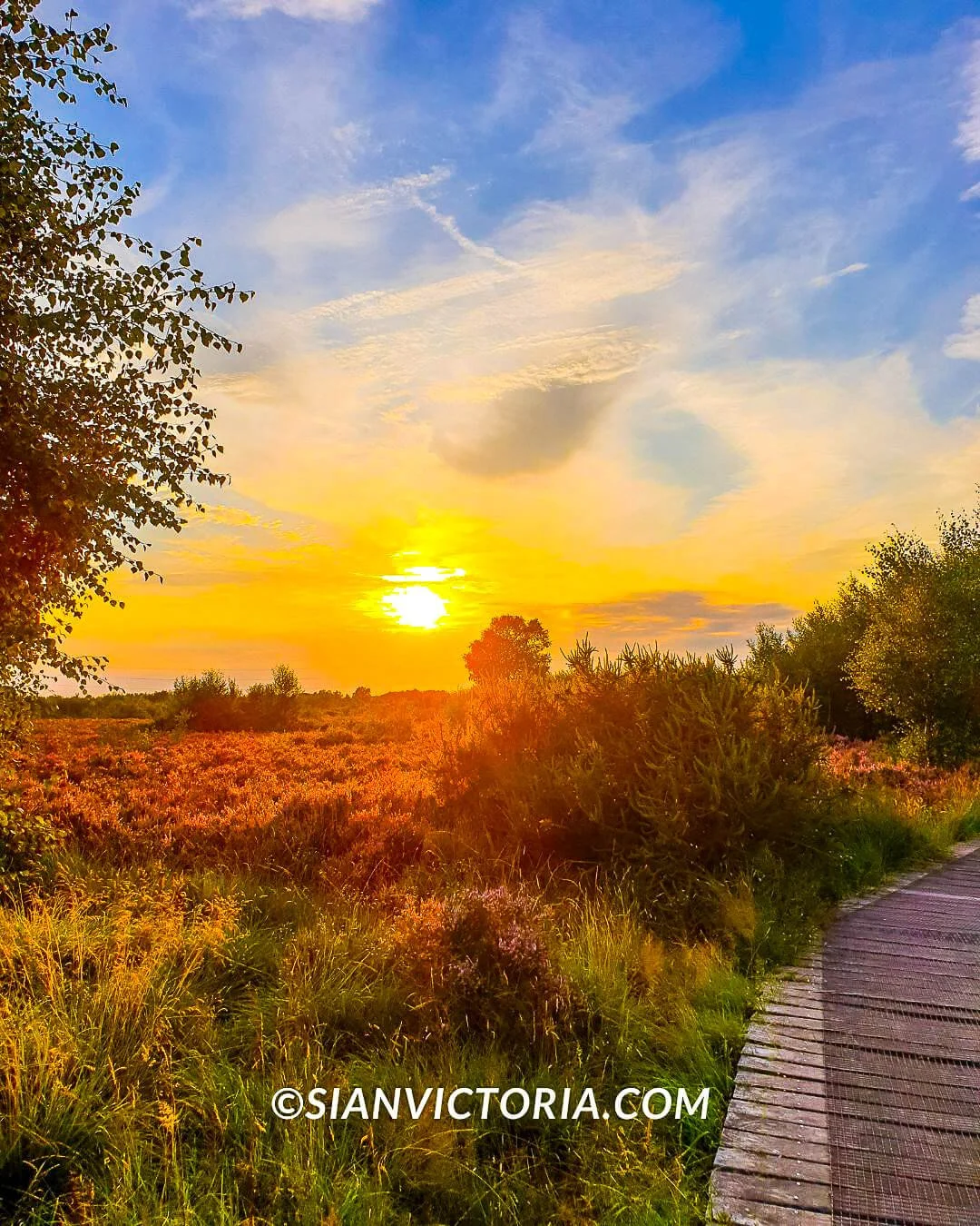 15 Best Walking Trails & Nature Reserves in Midlands — Sian Victoria.