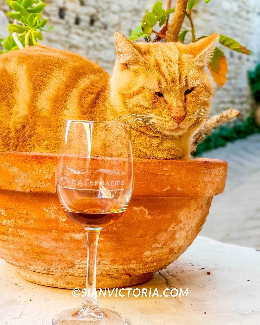 12 Cultural Thing's to See and Do in Paphos, Cyprus — Sian Victoria.