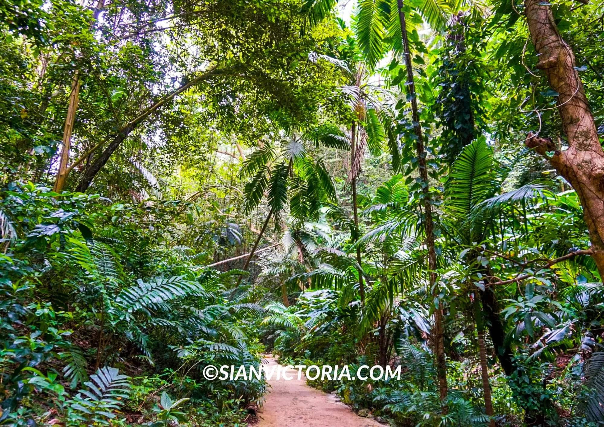 9 Best Thing's to Do & Places to See in Barbados — Sian Victoria.