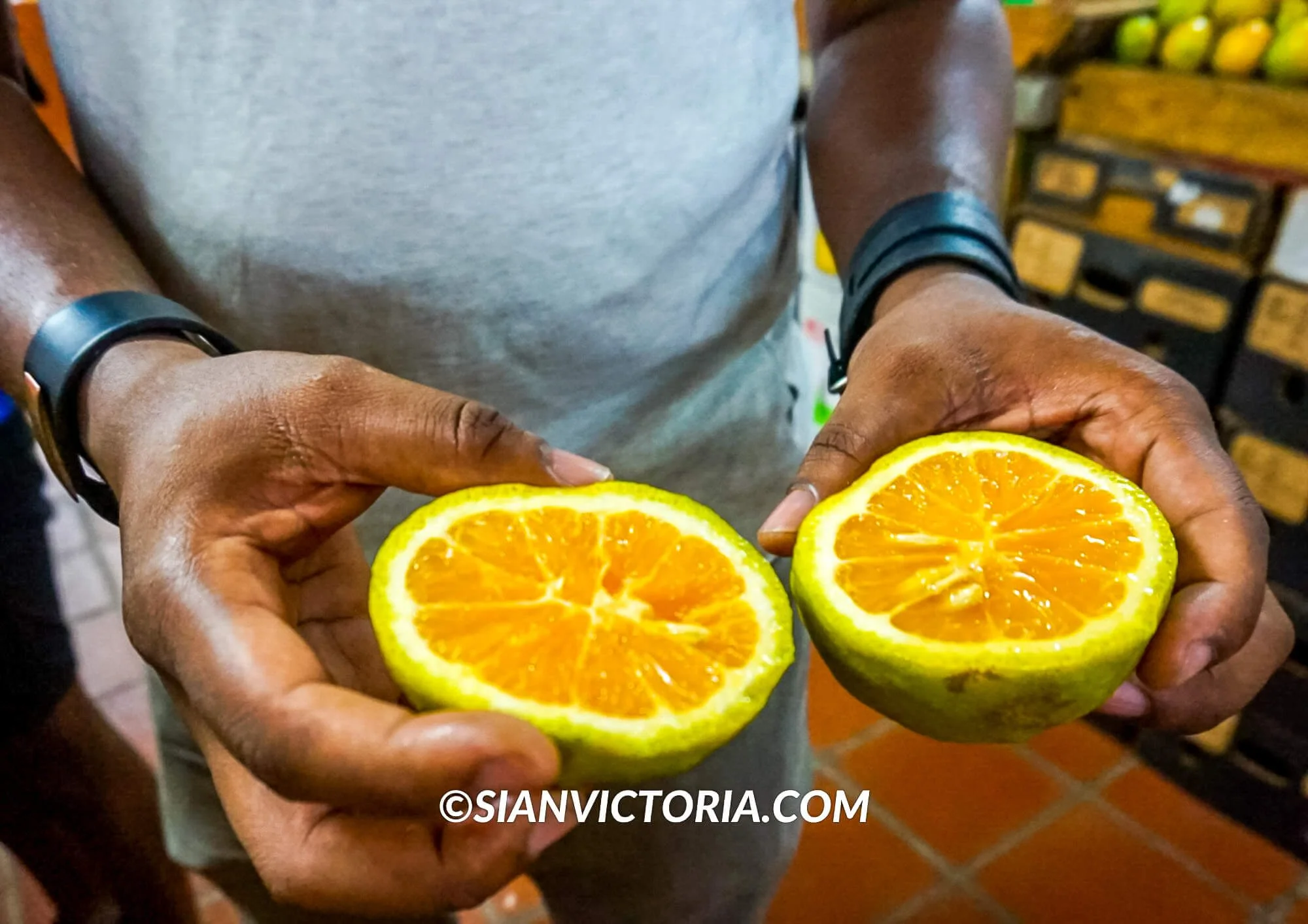 9 Best Thing's to Do & Places to See in Barbados — Sian Victoria.