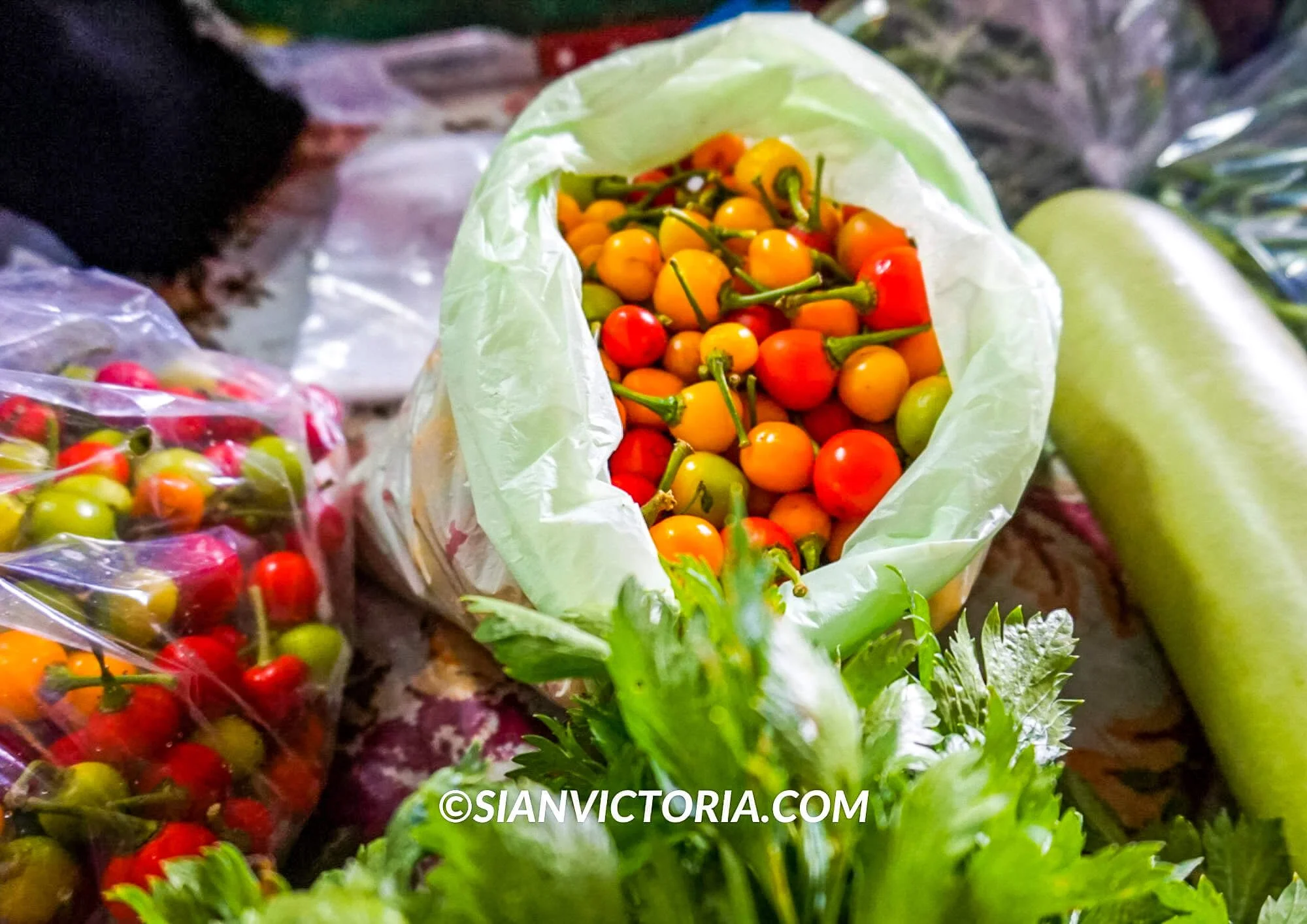 9 Best Thing's to Do & Places to See in Barbados — Sian Victoria.