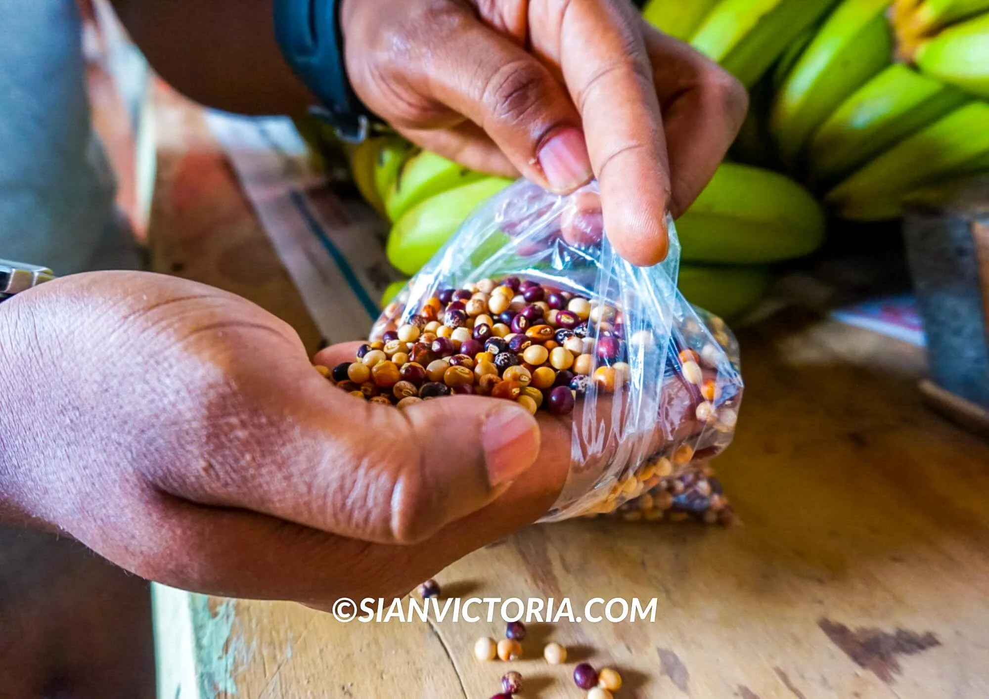 9 Best Thing's to Do & Places to See in Barbados — Sian Victoria.