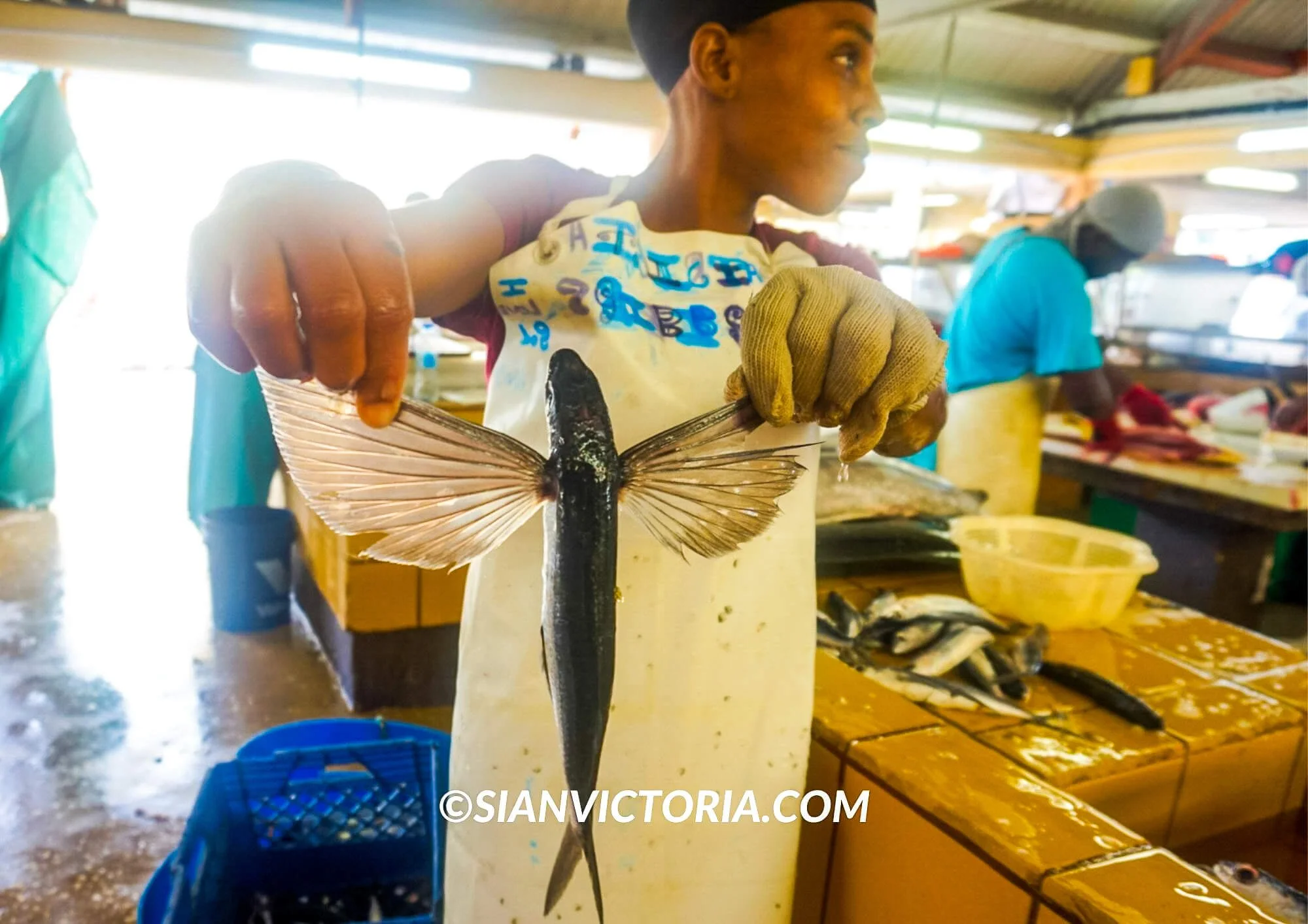 9 Best Thing's to Do & Places to See in Barbados — Sian Victoria.