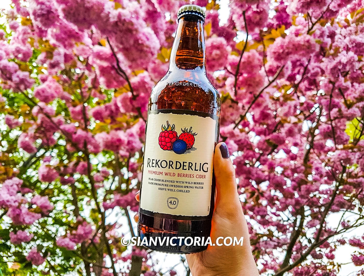 Starting Spring the Swedish way - Rekorderlig Cider — Sian Victoria.