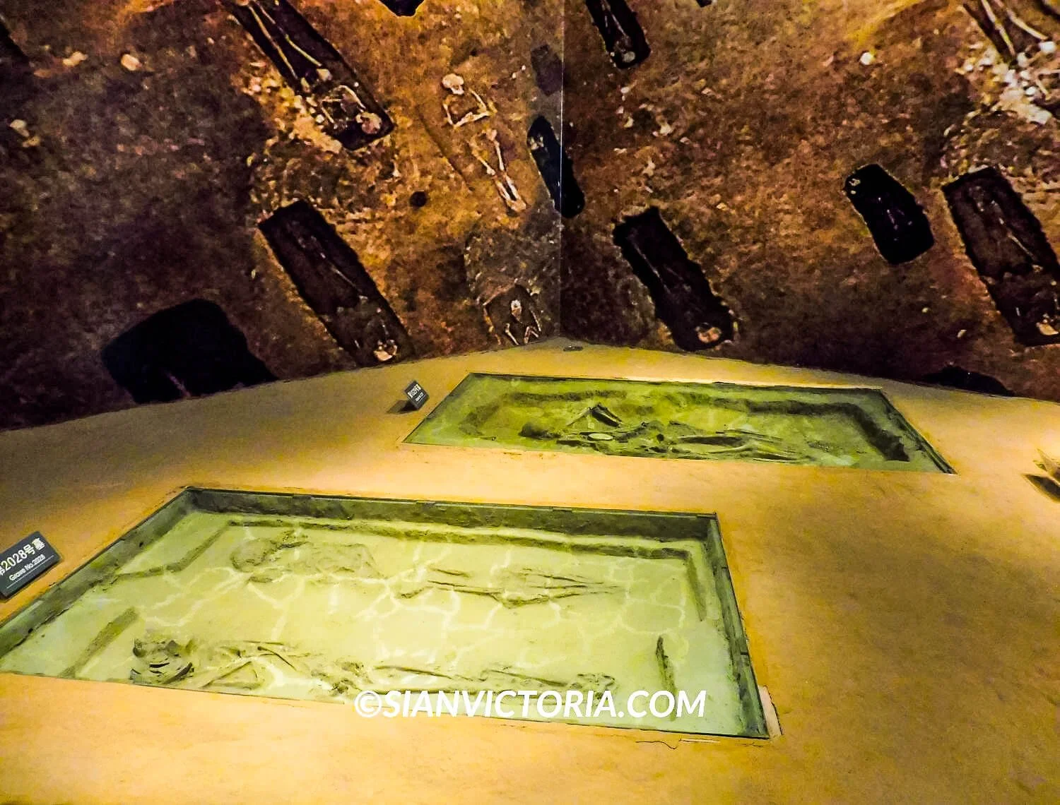 Jinsha Site Museum - Ancient Ruins - Chengdu — Sian Victoria.