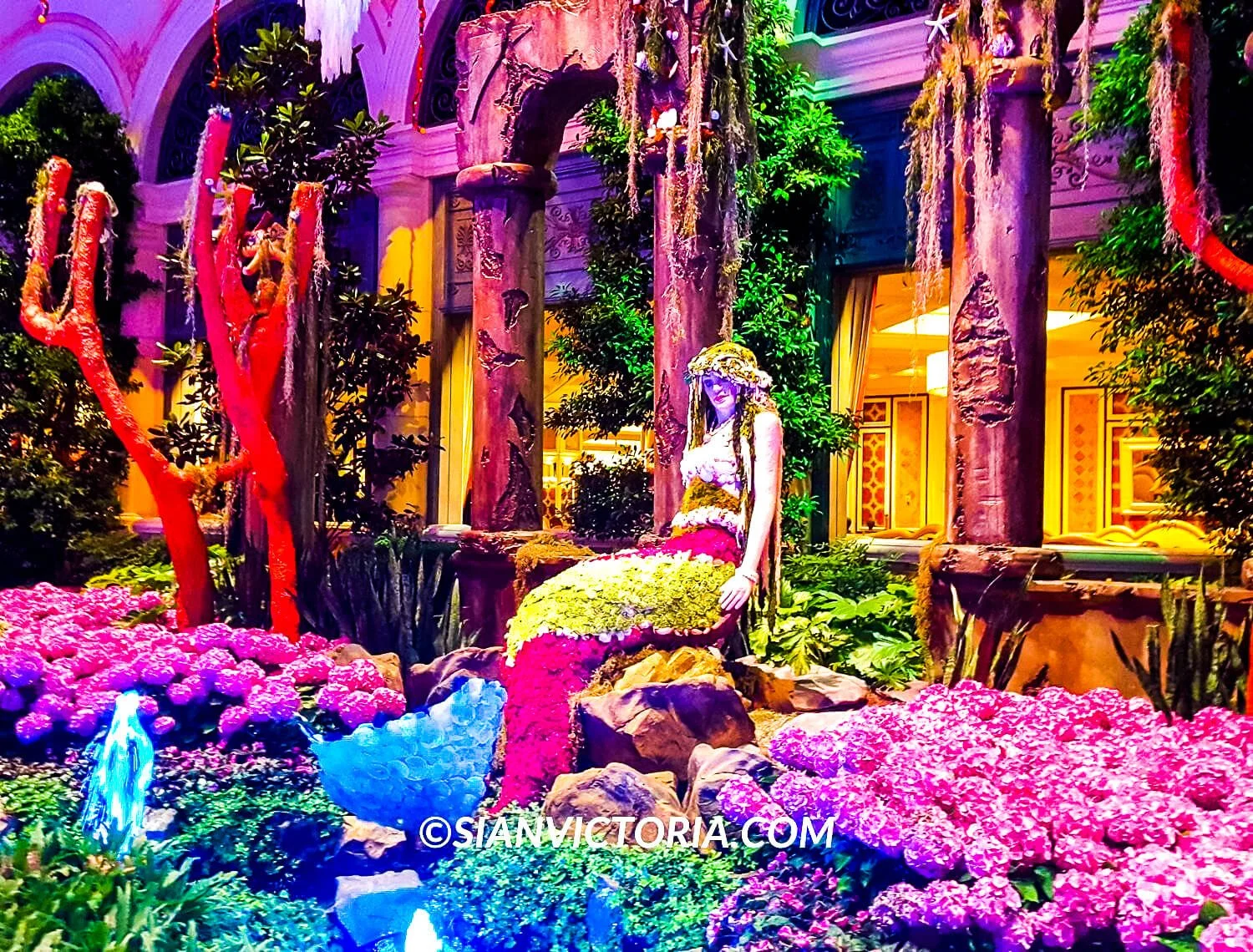 Bellagio - Conservatory & Botanical Garden - Las Vegas — Sian Victoria.