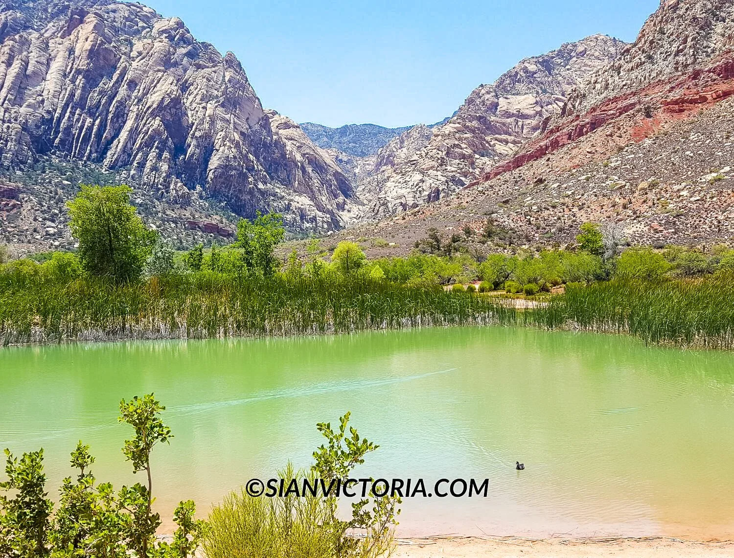 Spring Mountain Ranch State Park - Las Vegas, Nevada — Sian Victoria.