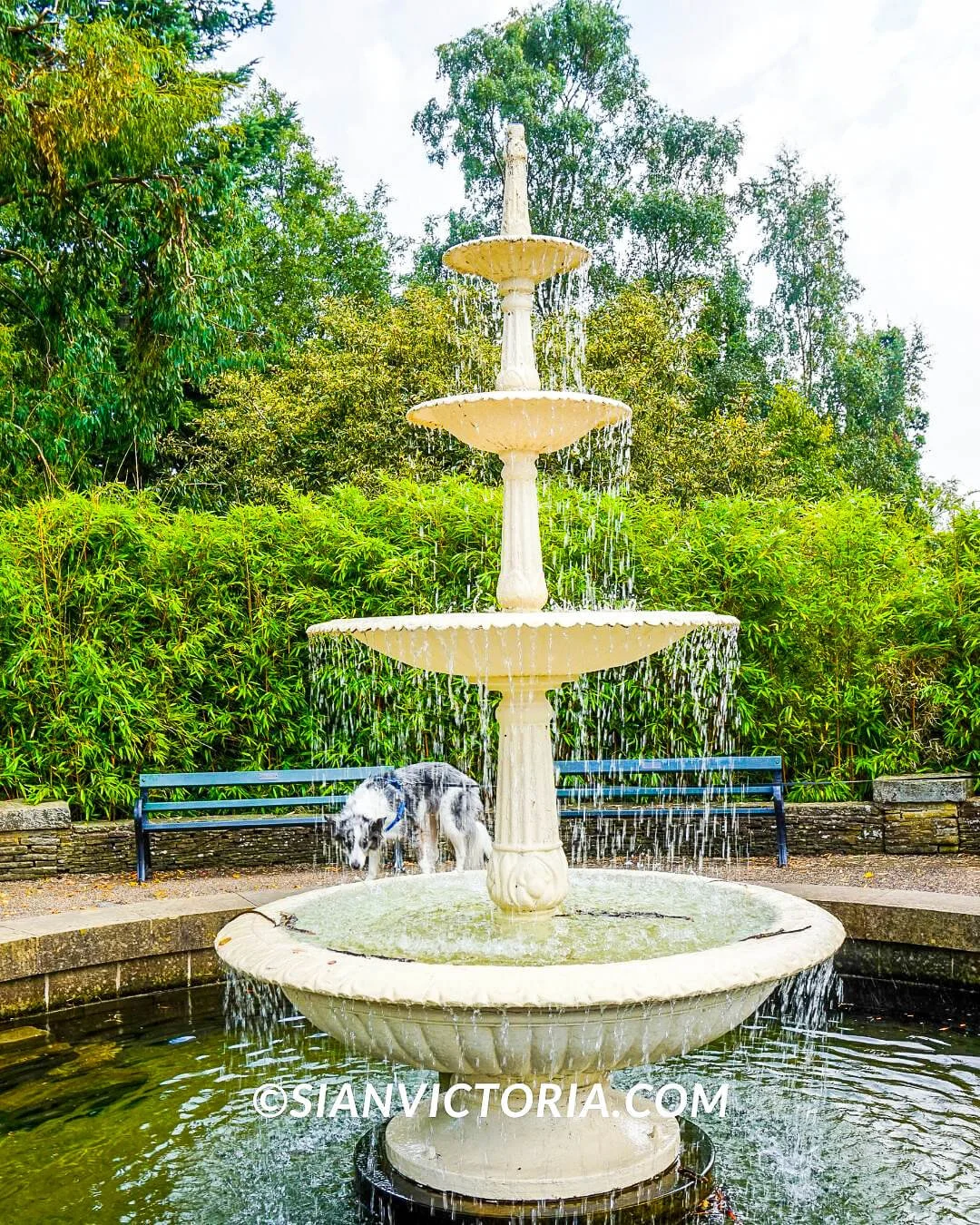 9 Best Things to Do in Sheffield – Sightseeing & Attractions — Sian ...