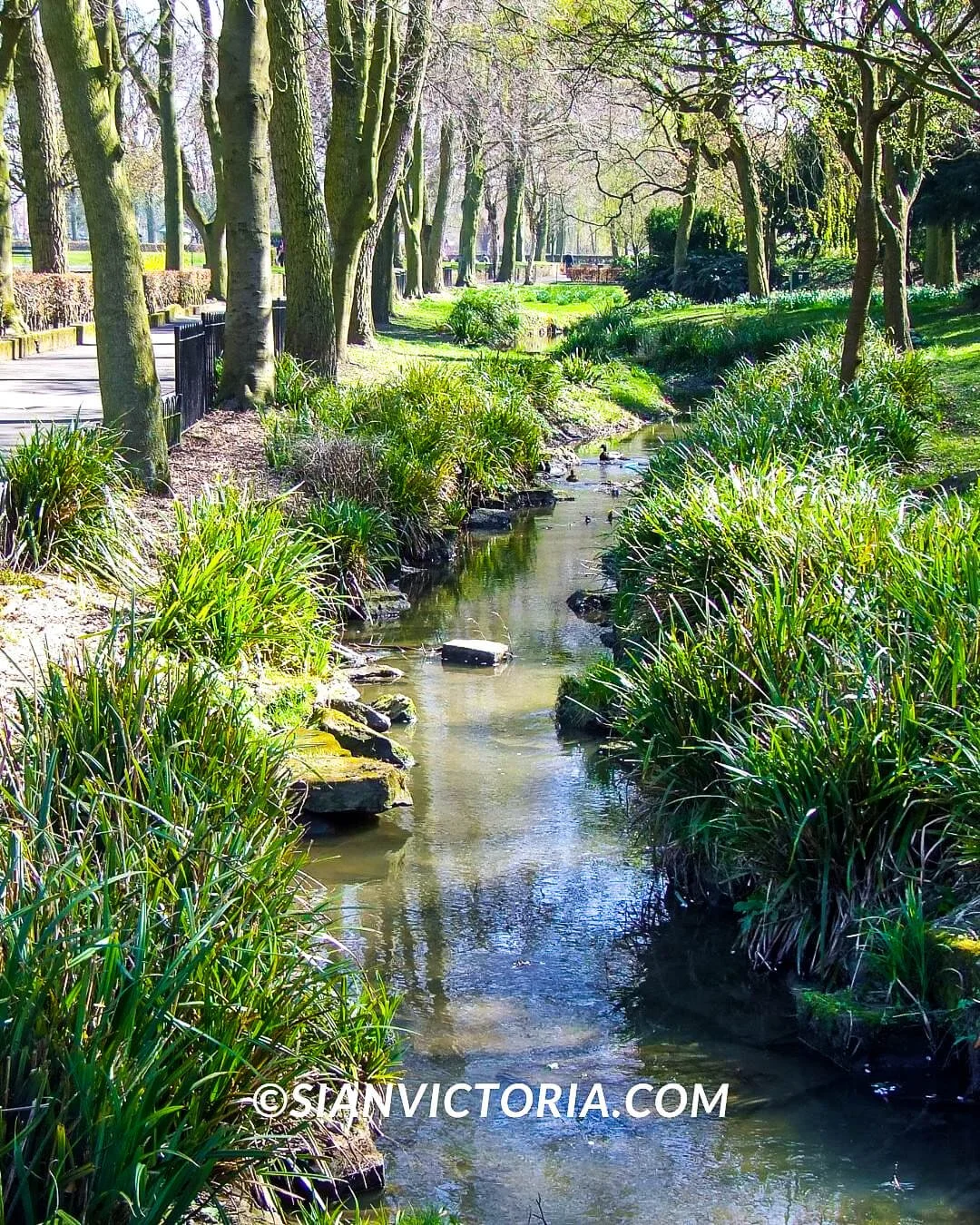 15 Best Walking Trails & Nature Reserves in Midlands — Sian Victoria.