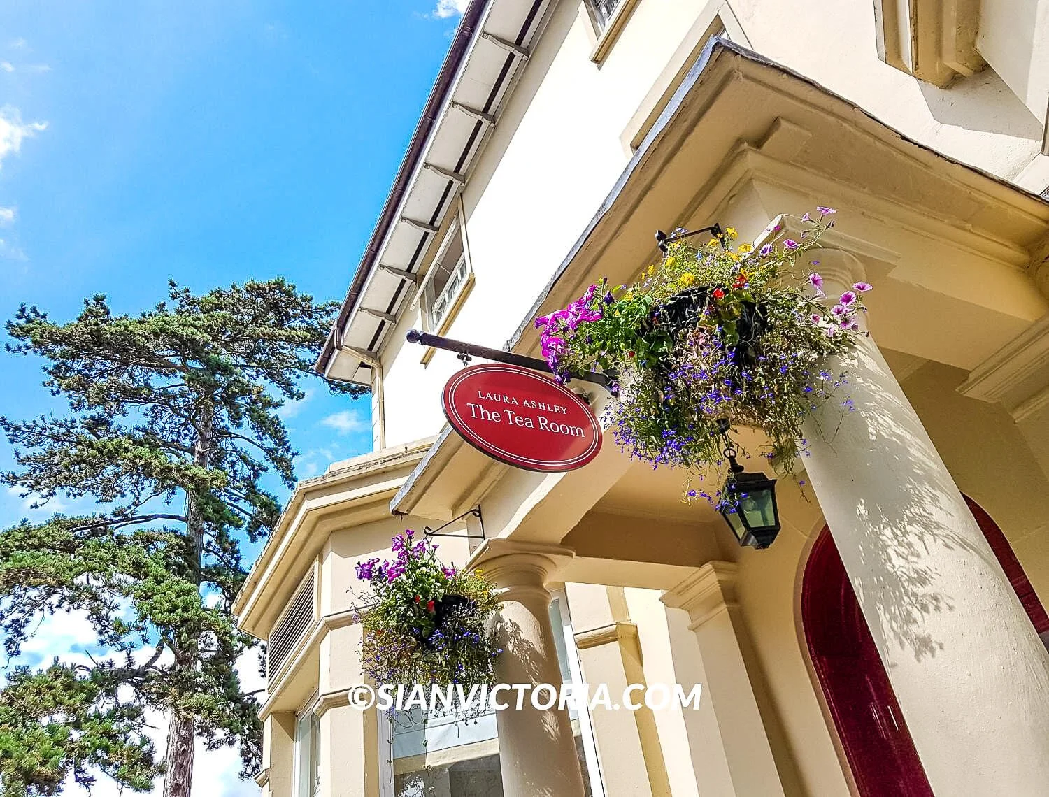 Afternoon Tea - Laura Ashley the Tea Room, Solihull — Sian Victoria.