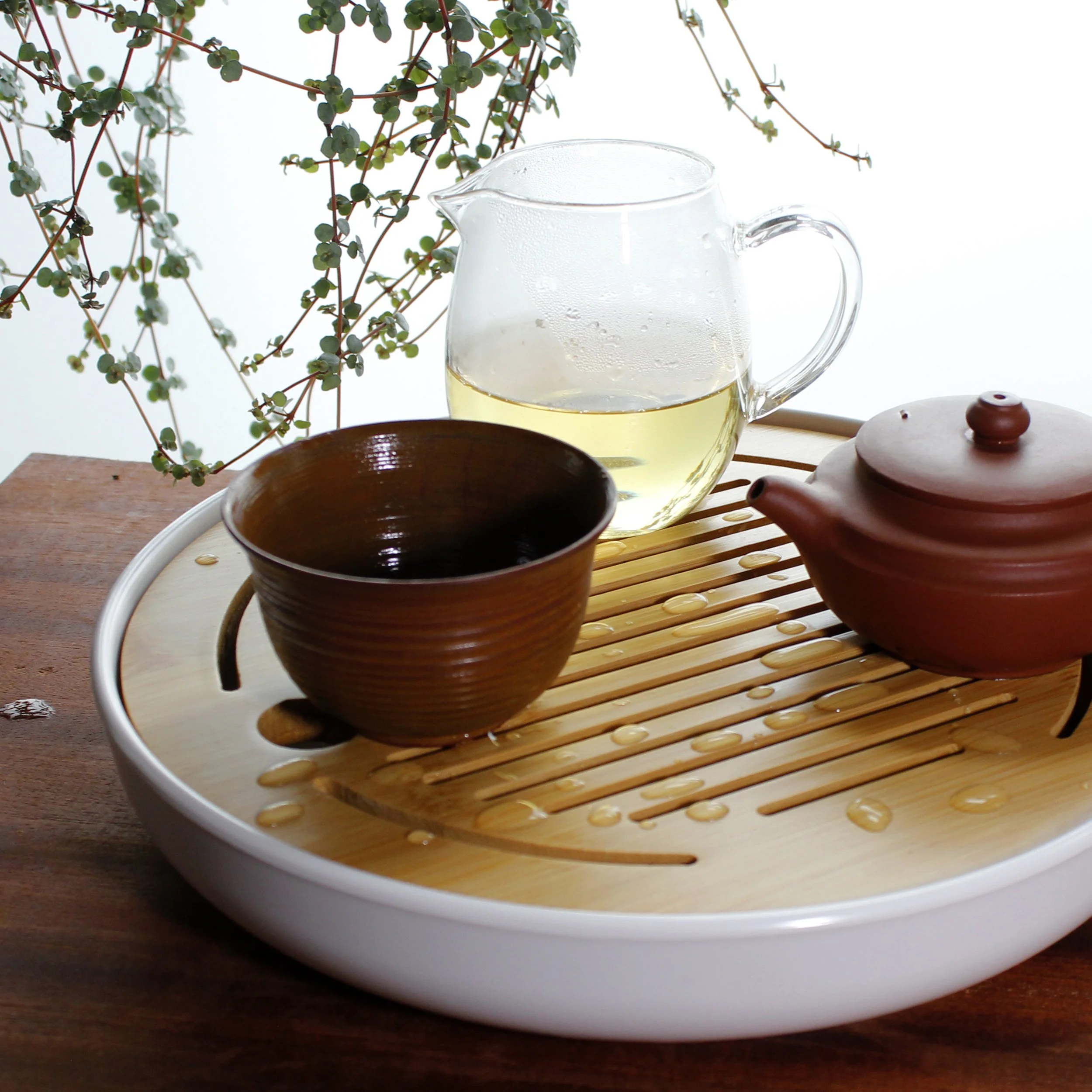 MEM TEA - Boston based loose leaf tea company.