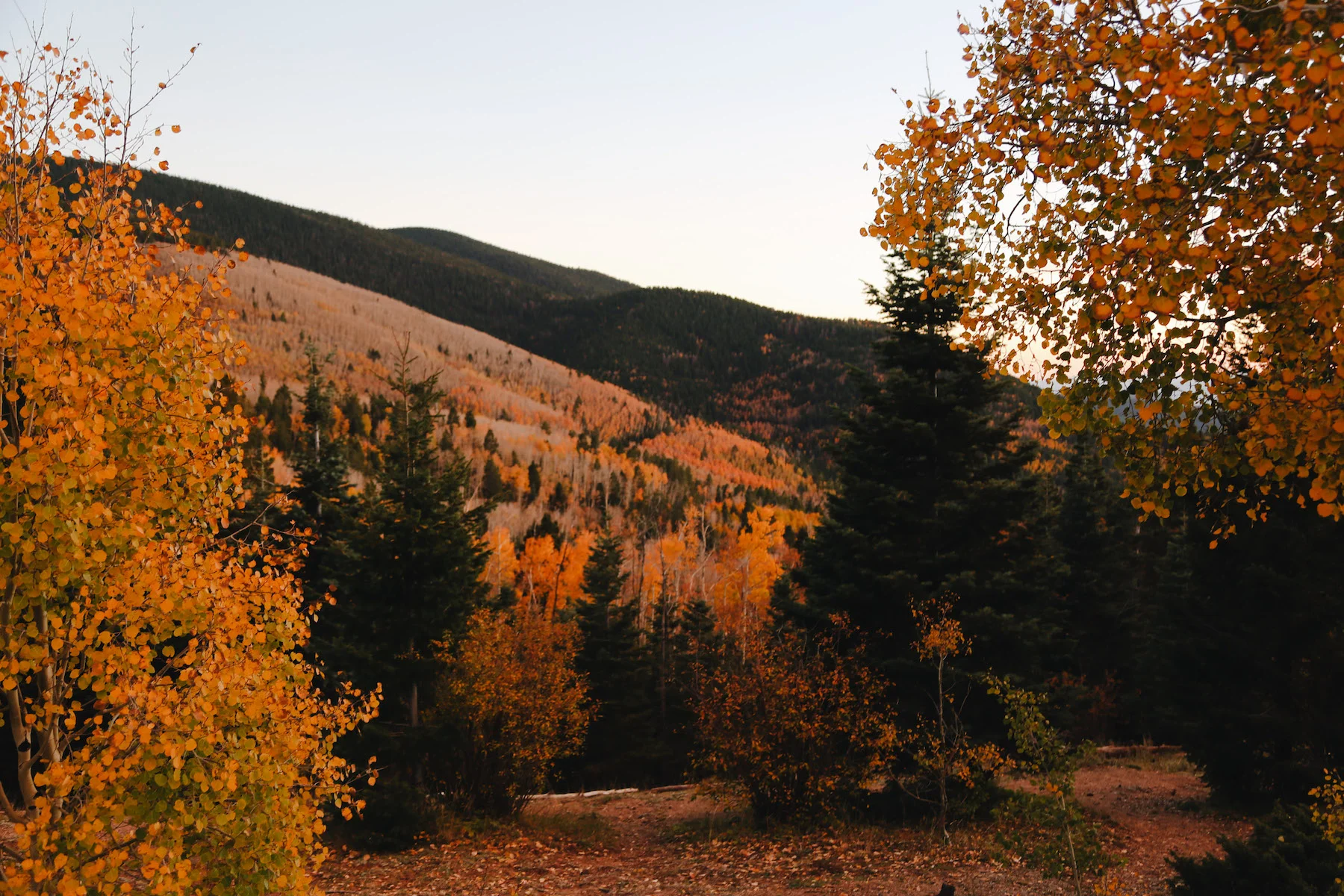 48 Hours in Santa Fe