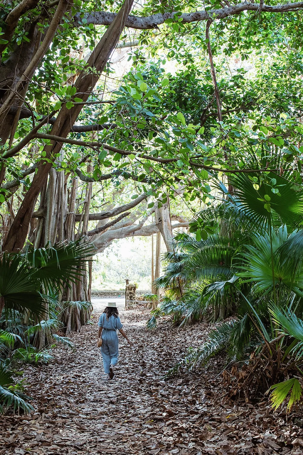 A Weekend in Bermuda