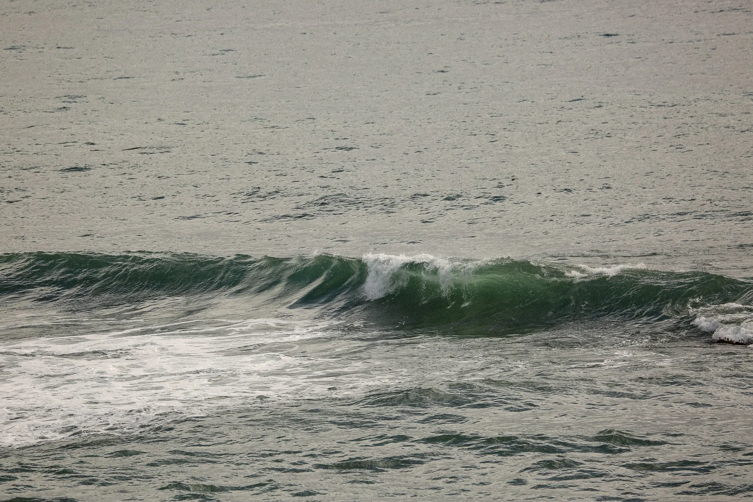 A Travel Guide to Cambria, California