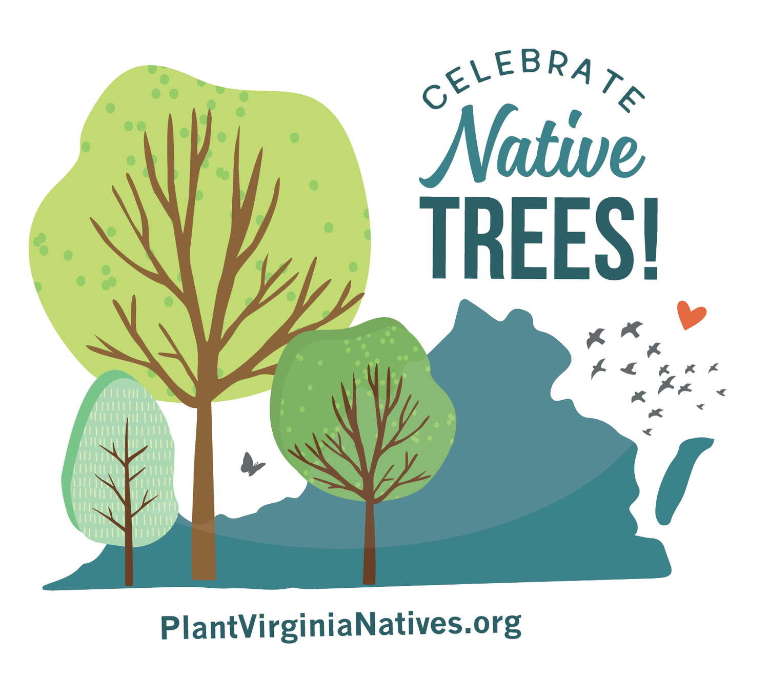 Plant Virginia Natives