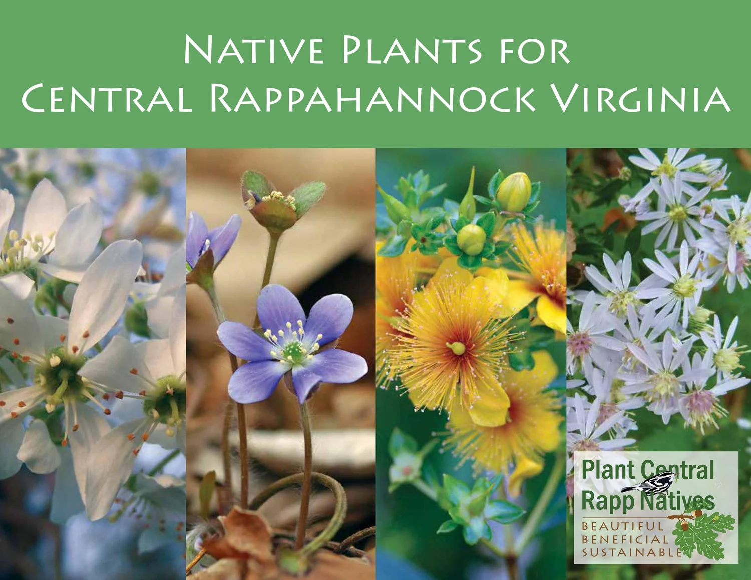 About — Plant Virginia Natives