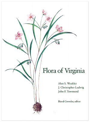 What Makes a Plant a Virginia Native? — Plant Virginia Natives