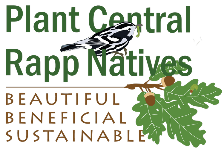 Plant Virginia Natives