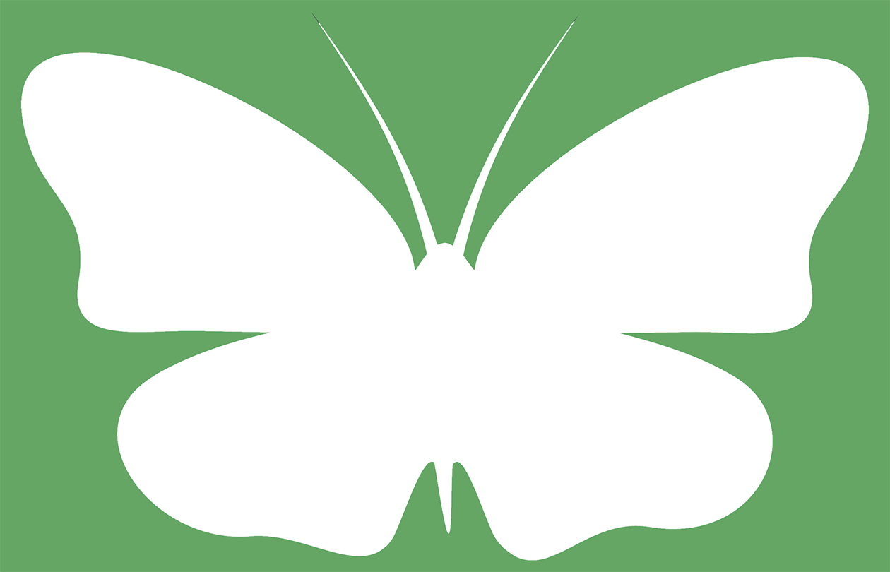 Planting Natives to Attract Pollinators — Plant Virginia Natives