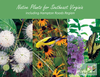 Planting Natives to Attract Pollinators — Plant Virginia Natives