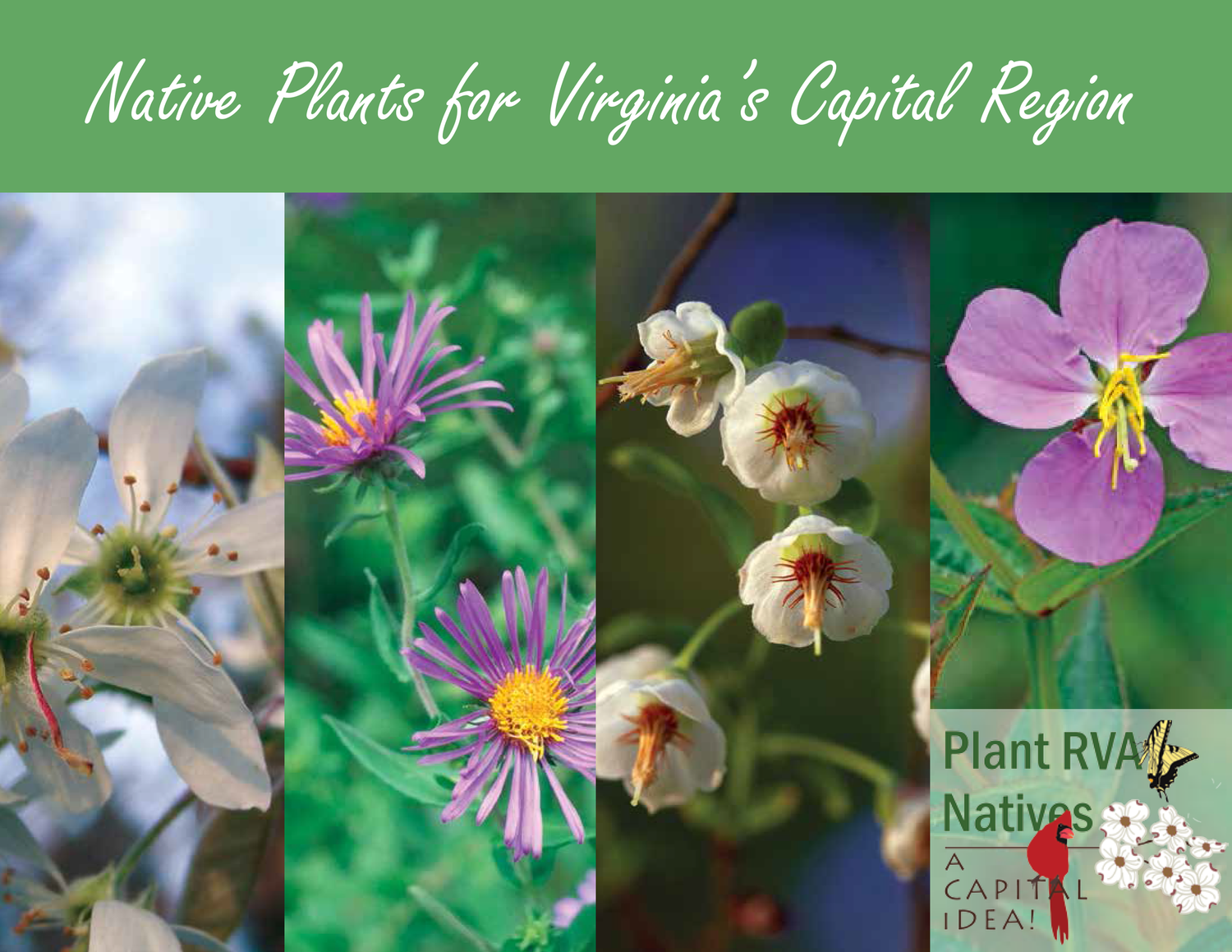 Plant Virginia Natives