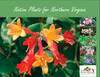 Native Plants for Northern Virginia — Plant Virginia Natives