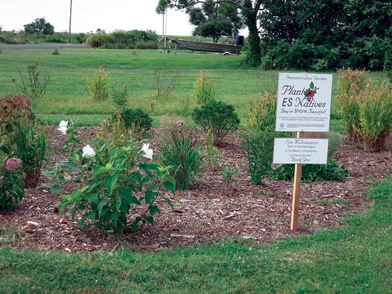 Additional Resources About Landscaping with Natives — Plant Virginia ...