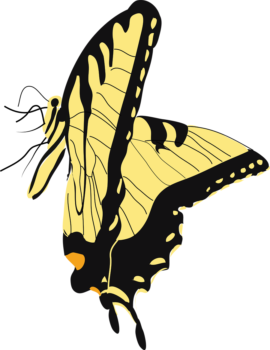 Planting Natives to Attract Pollinators — Plant Virginia Natives