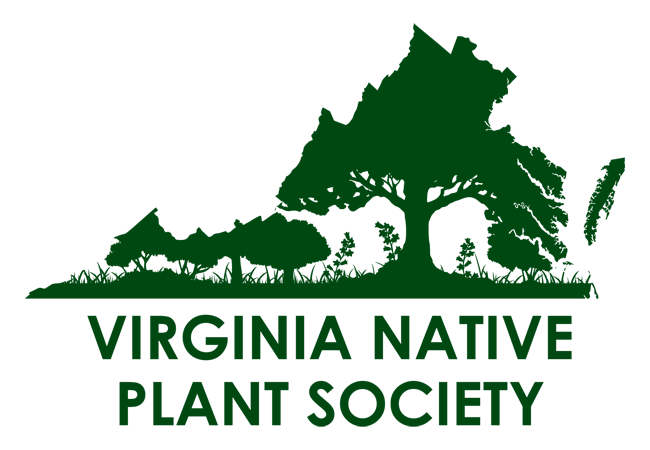 Webinars on Native Plants and Landscaping — Plant Virginia Natives
