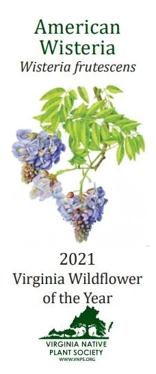 Learn More About Plants Native to Virginia — Plant Virginia Natives