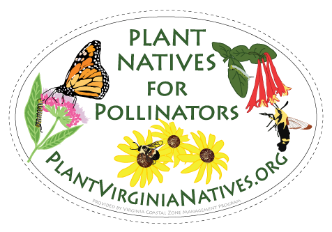 Planting Natives to Attract Pollinators — Plant Virginia Natives