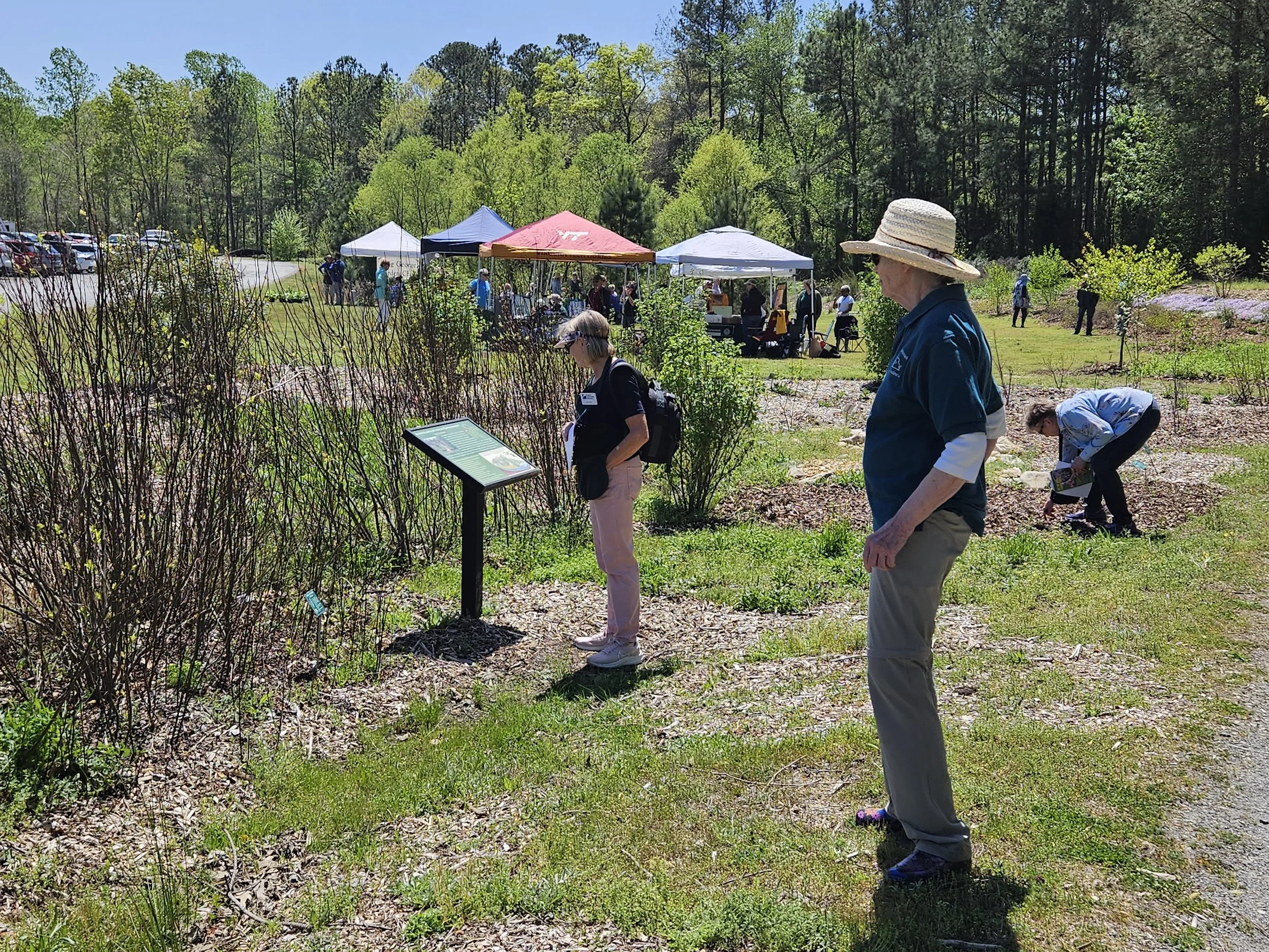 Plant Central Rapp Natives Campaign Demonstration Gardens in King ...