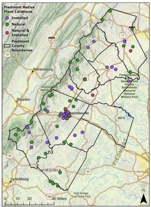 Where to See Northern Piedmont Natives — Plant Virginia Natives