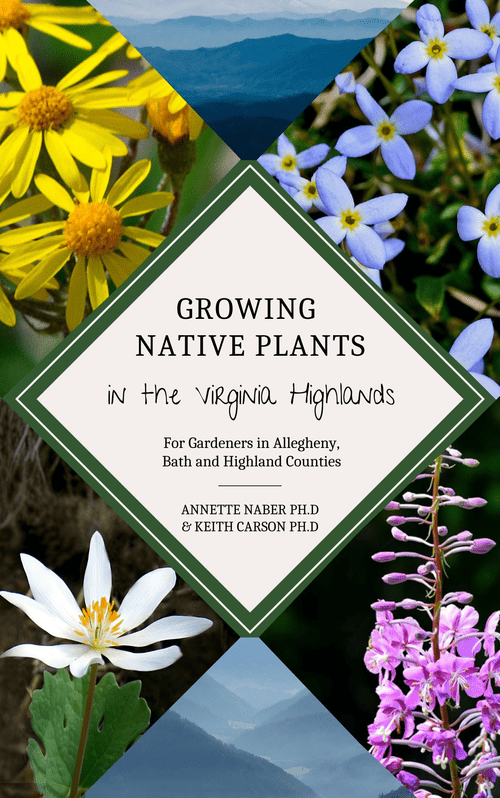 Natives Plants for Virginia's Ridge and Valley — Plant Virginia Natives