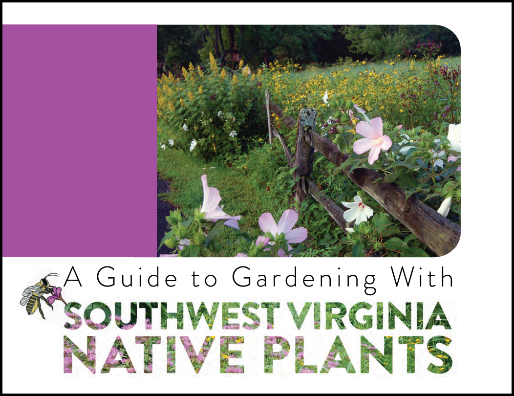 Plant SWVA Natives Guide — Plant Virginia Natives
