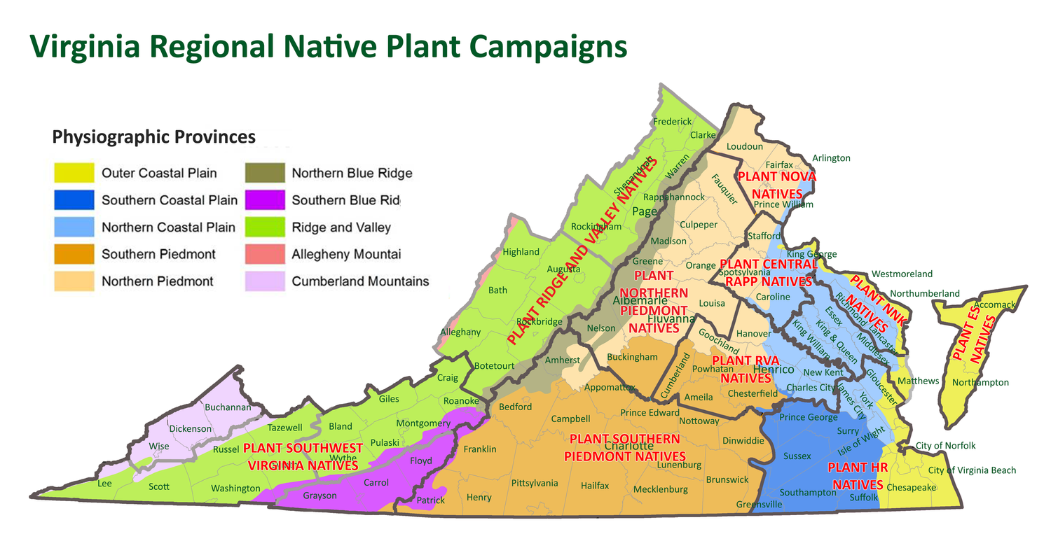 Regional Native Plant Campaigns — Plant Virginia Natives