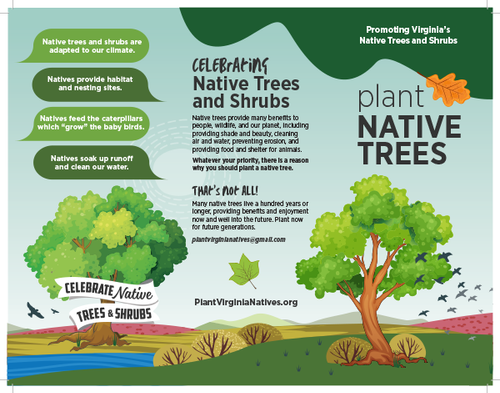 Selecting and Siting Native Trees — Plant Virginia Natives