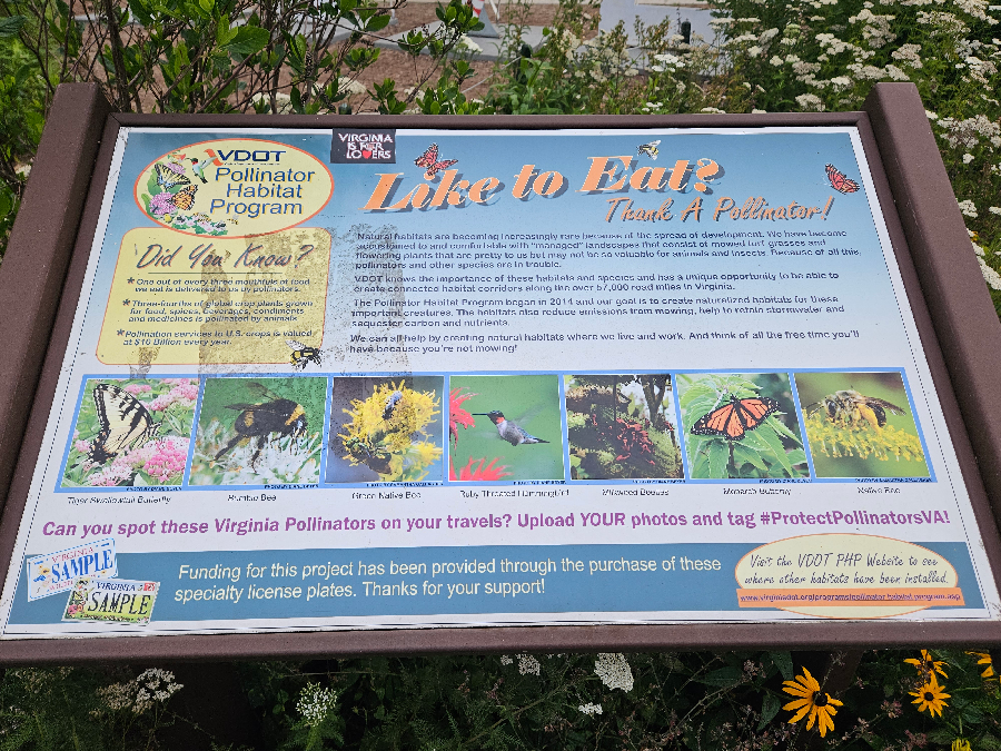 VDOT Pollinator Habitat Program to Install 135 New Acres of Pollinator ...