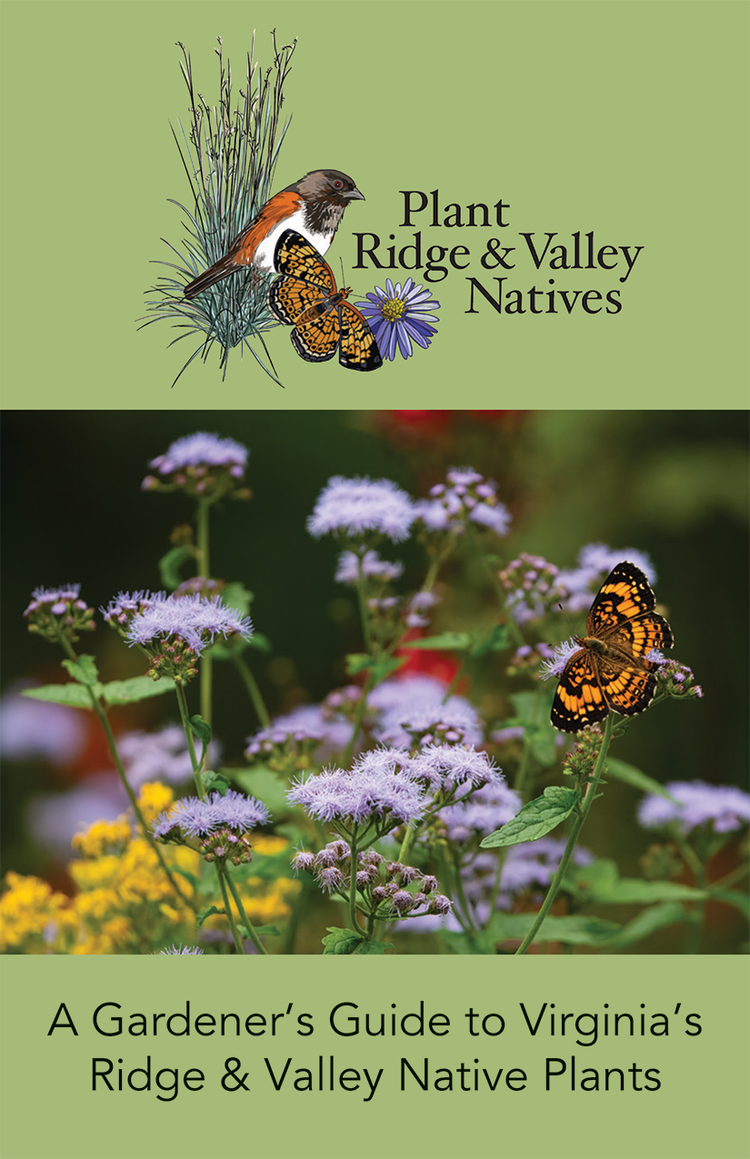 Natives Plants for Virginia's Ridge and Valley — Plant Virginia Natives