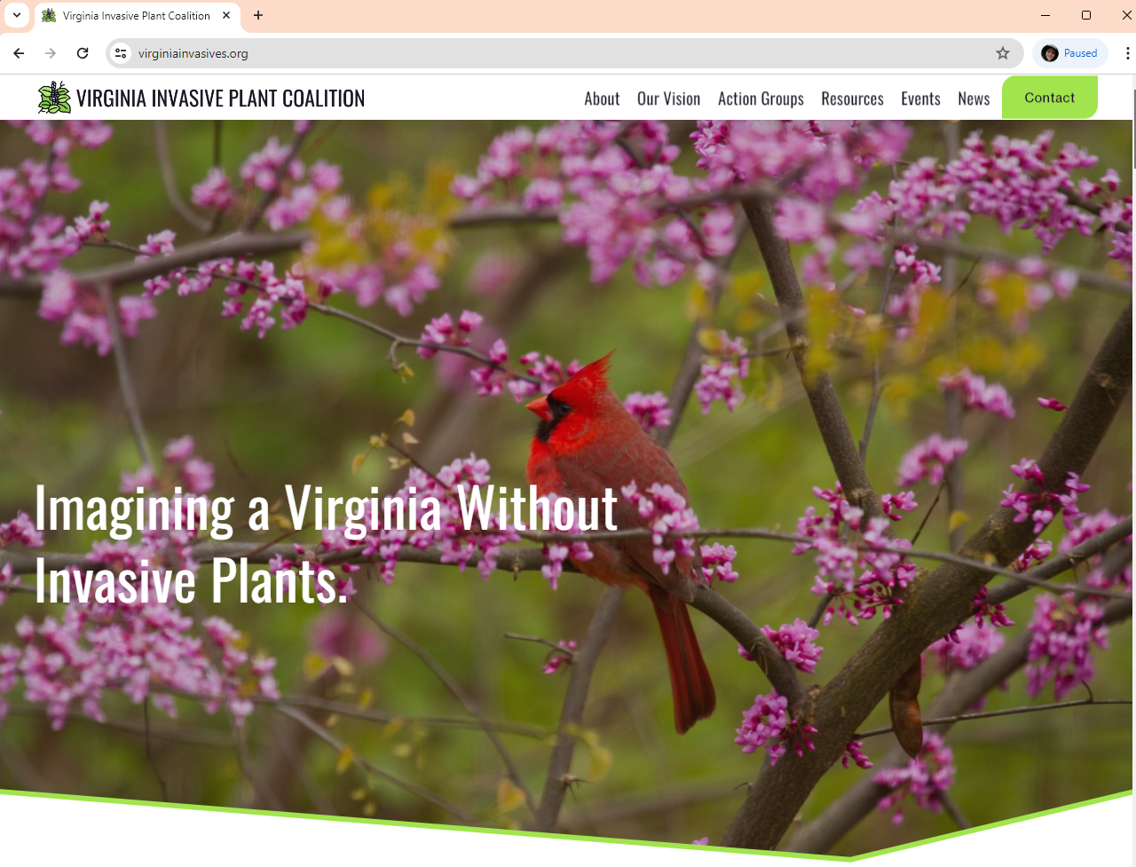Plant Virginia Natives Initiative NEWS — Plant Virginia Natives