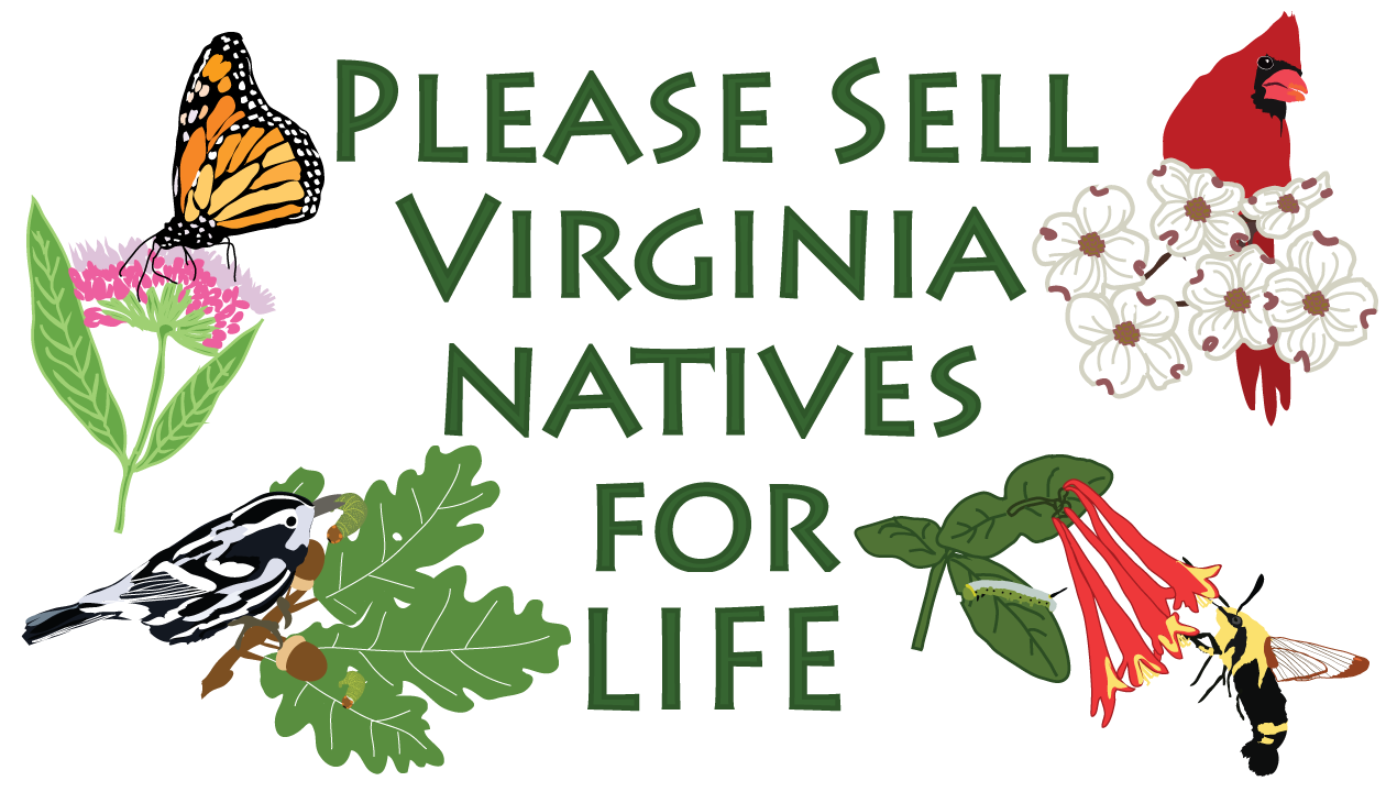 Plant Virginia Natives