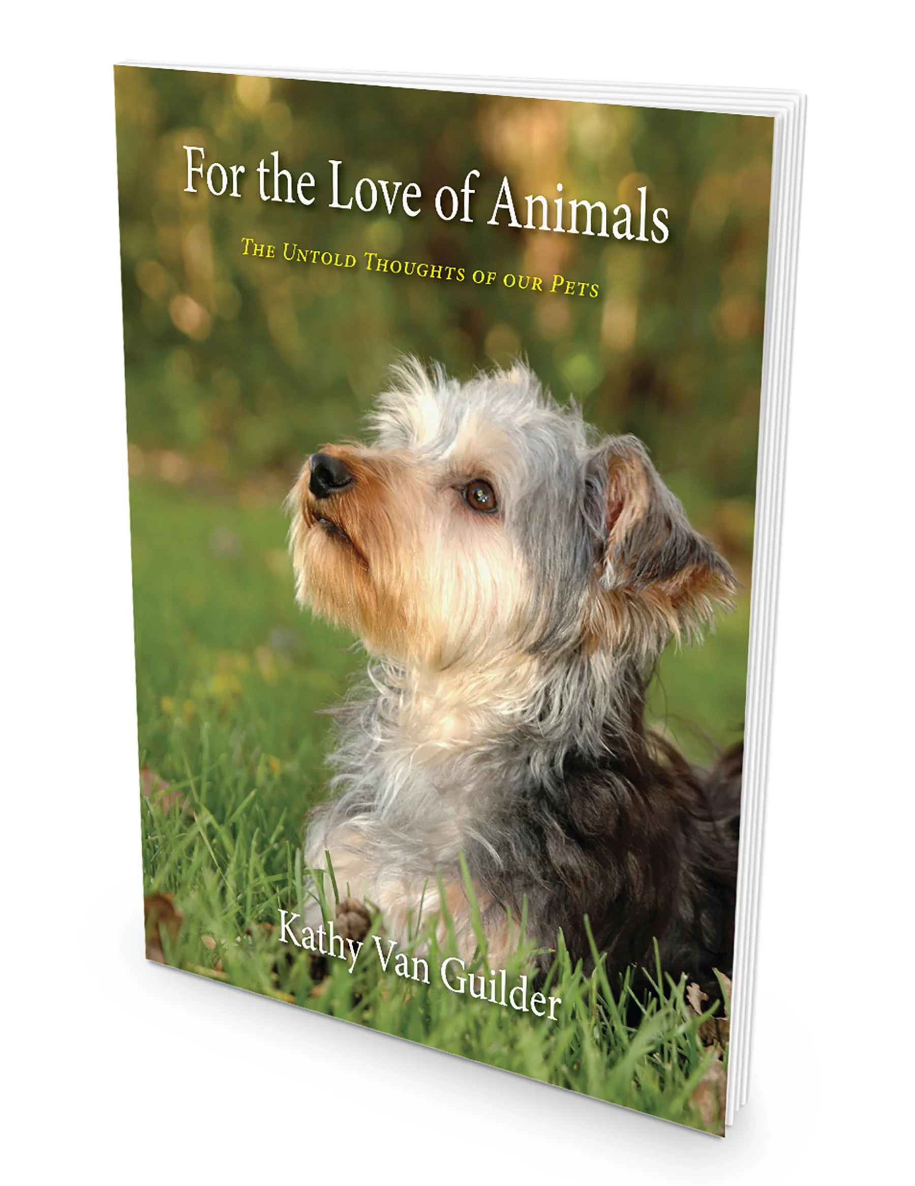Kathy Van Guilder Animal Communicator