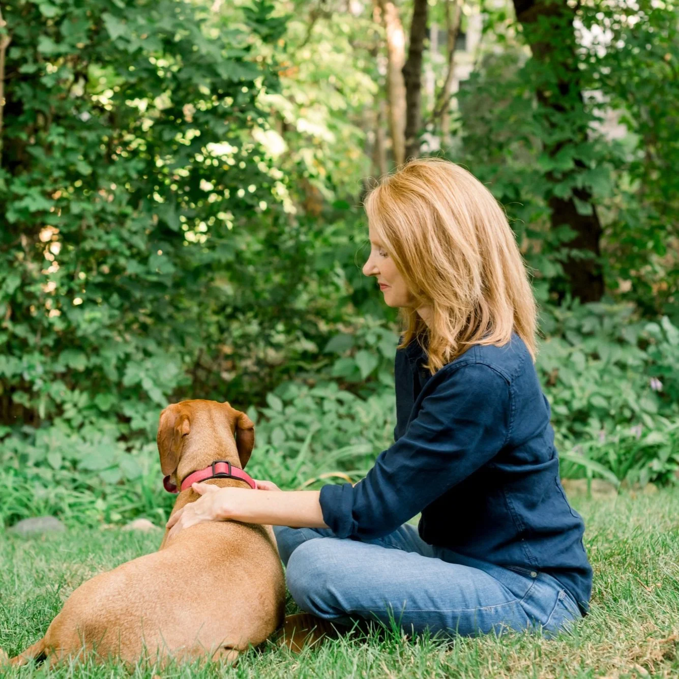 Kathy Van Guilder Animal Communicator