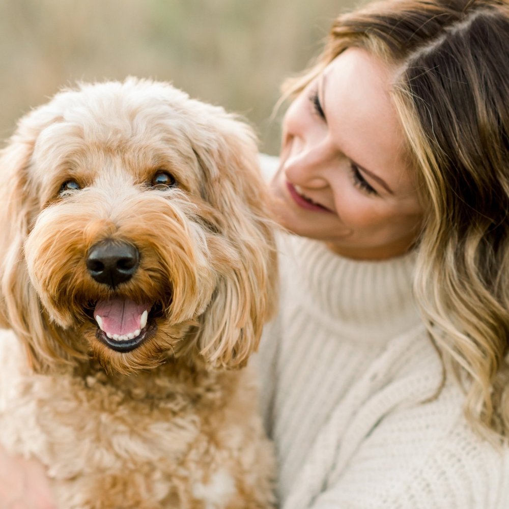 Kathy Van Guilder Animal Communicator