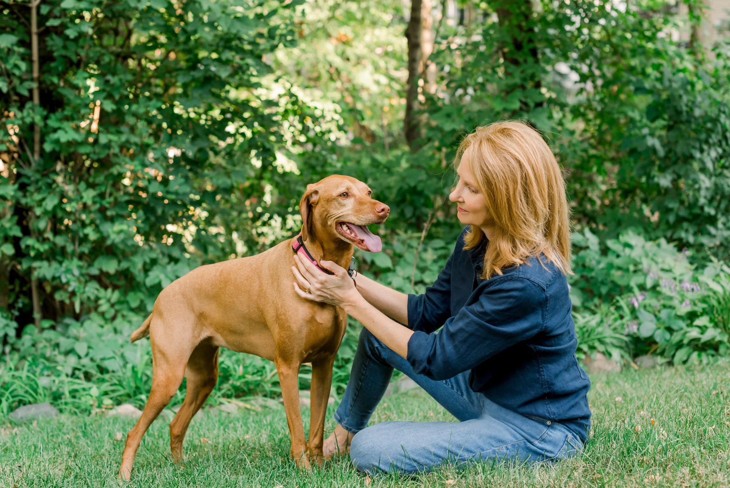 Kathy Van Guilder Animal Communicator
