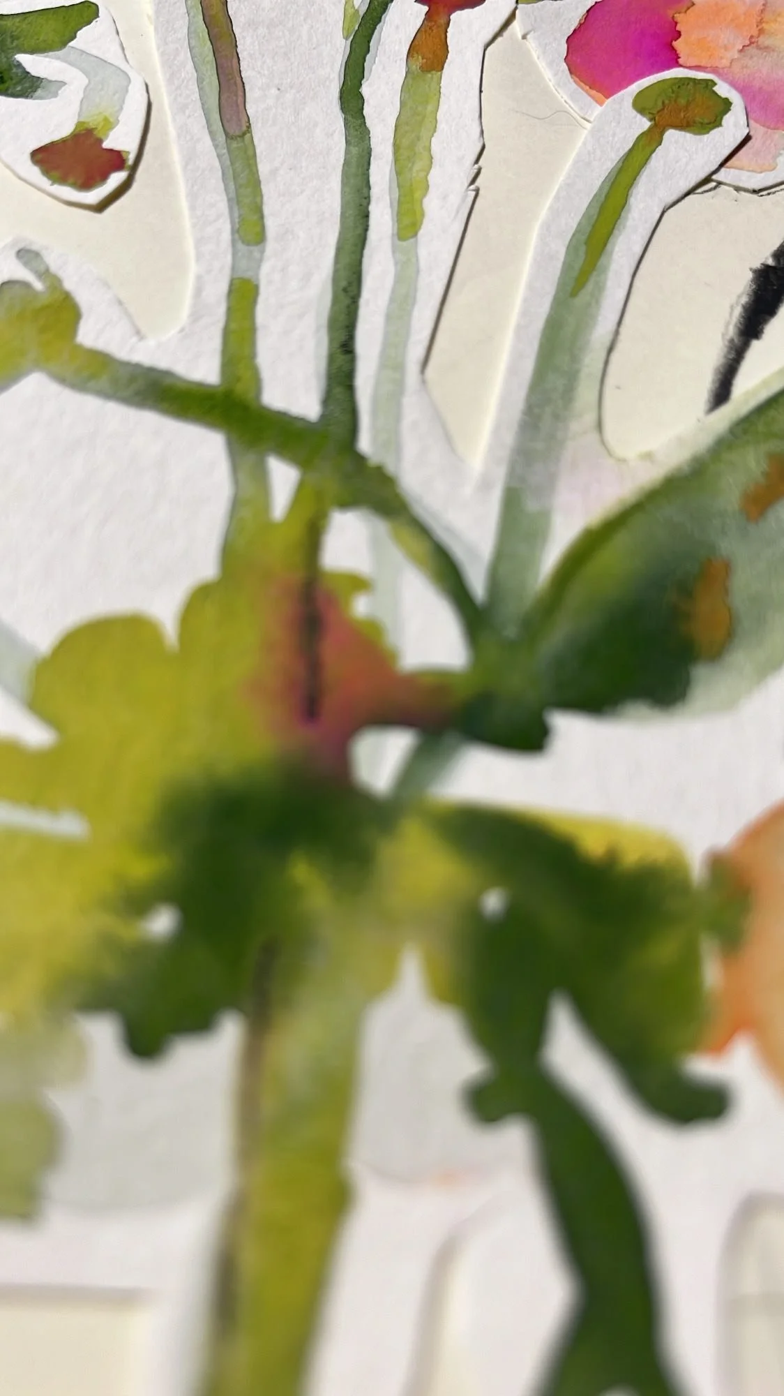 Changing Light Botanical Art Print — Ritual Morning Studio