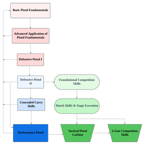 The Path Forward (Flowchart)