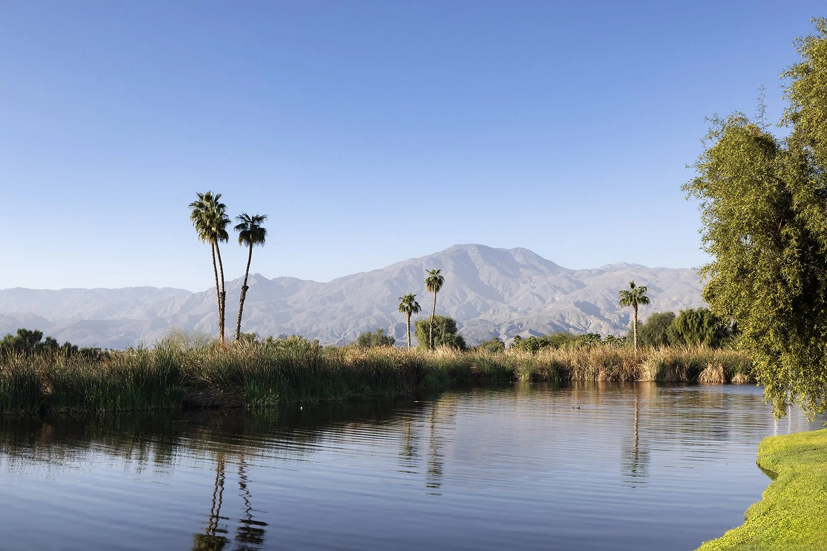 Merv Griffin Estate — ZACH GOLDSMITH