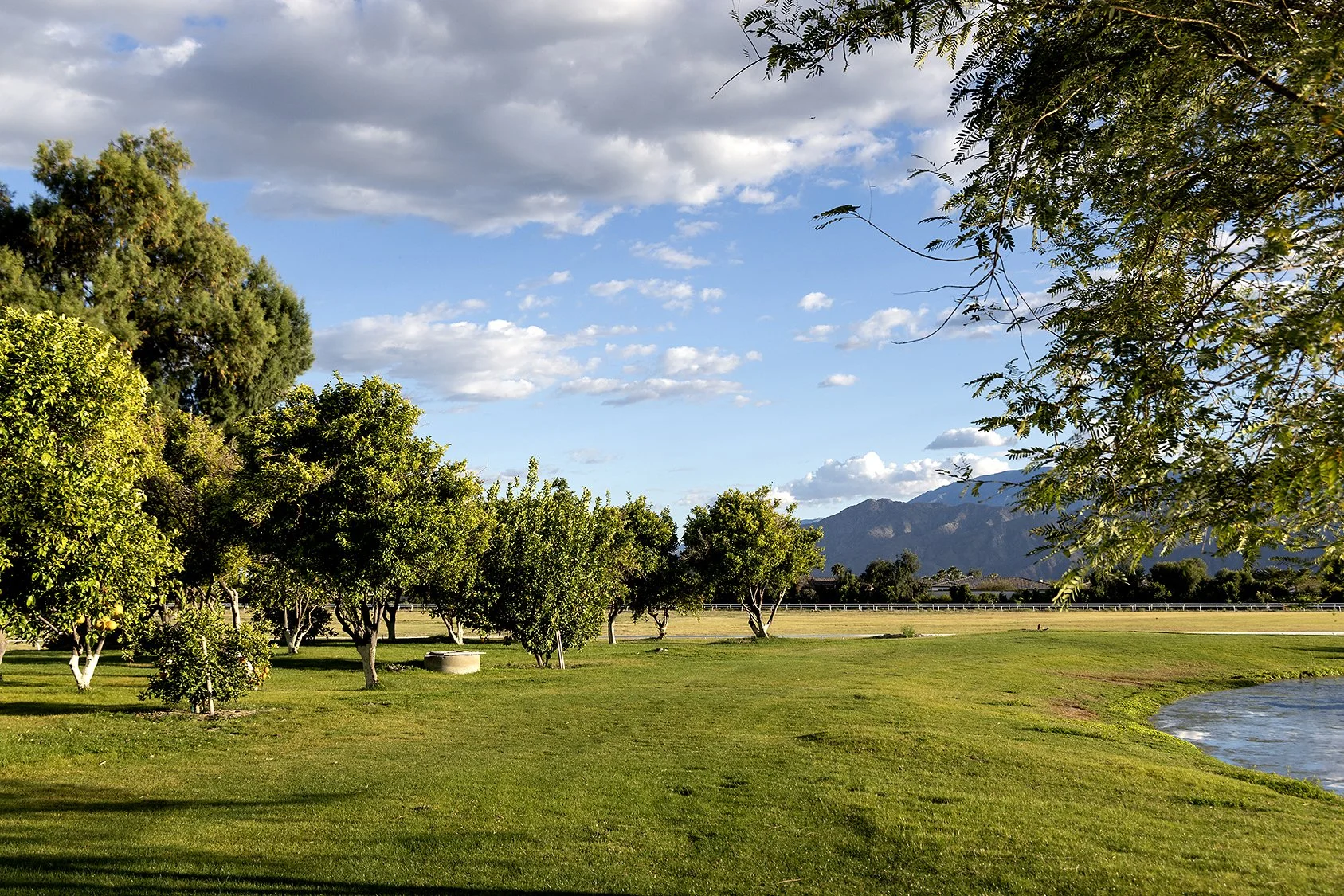 Merv Griffin Estate — ZACH GOLDSMITH