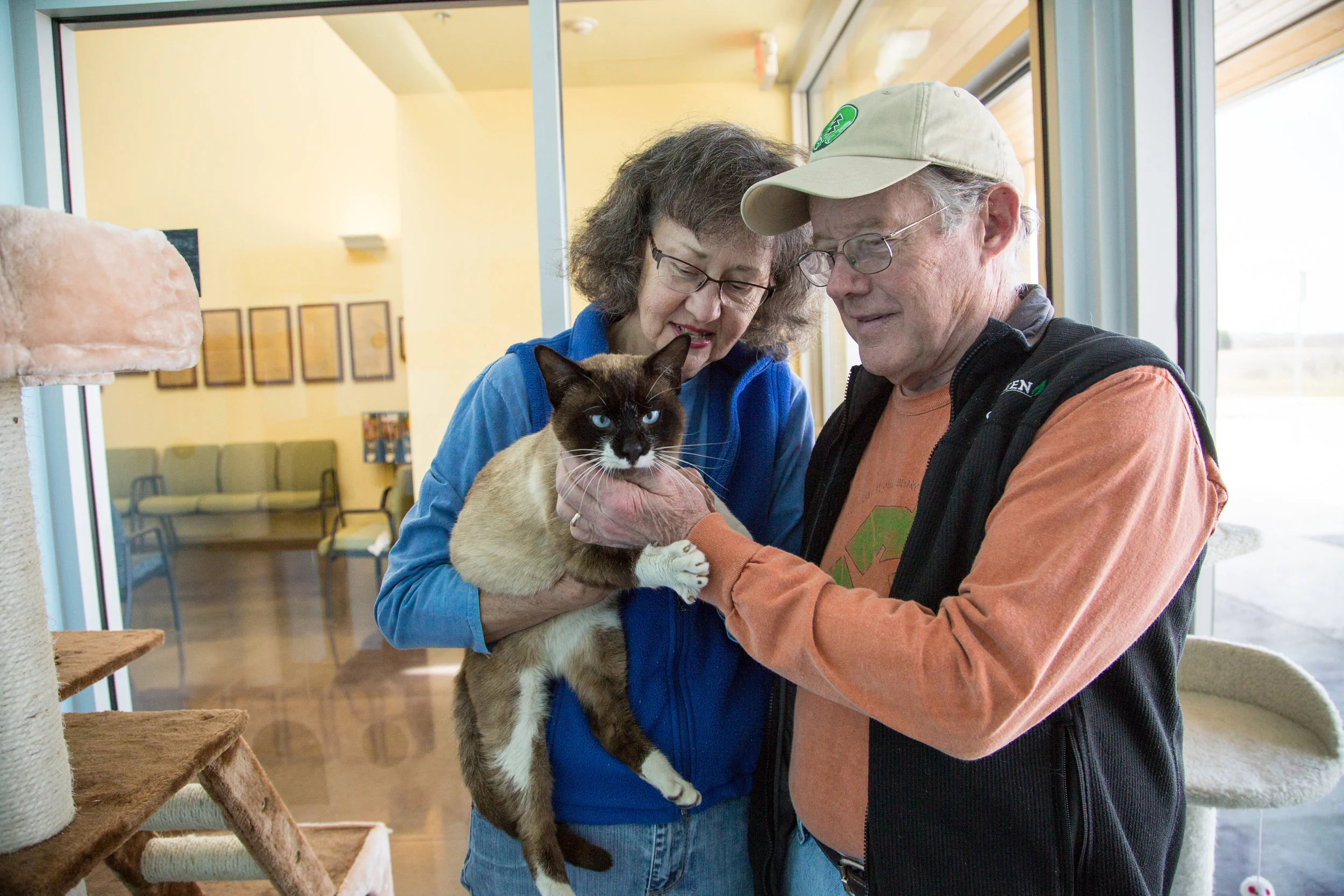 About DASF — Denton Animal Support Foundation